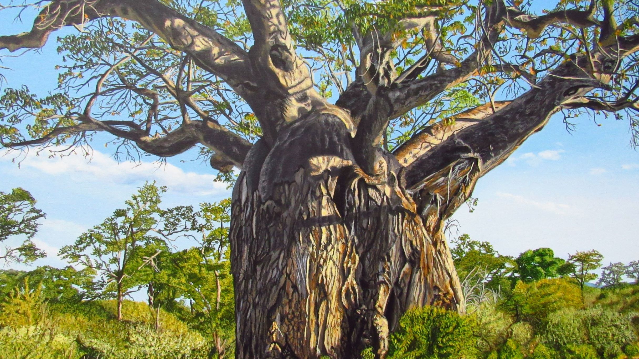 Old Giant In The Kruger – Janet van Wyk, Landscape and Wildlife Art