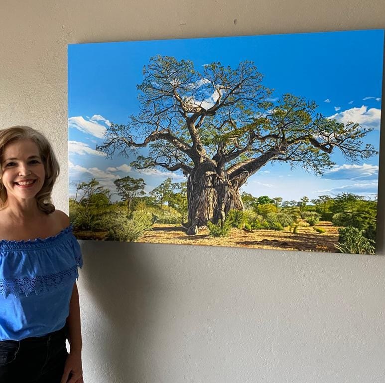 Old Giant In The Kruger – Janet van Wyk, Landscape and Wildlife Art